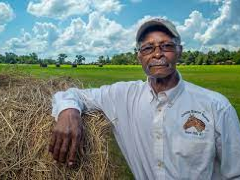 This Program Hopes To Increase Equity In The Black Agricultural Space ...